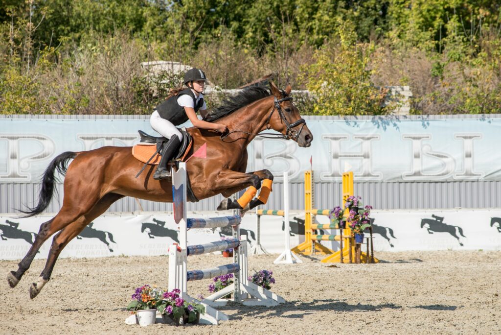 The Role of CBD in Recovery: Helping Your Horse Bounce Back After ...